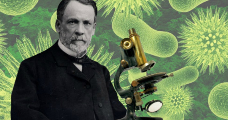 The 11 main branches of Chemistry - Wellnessbeam