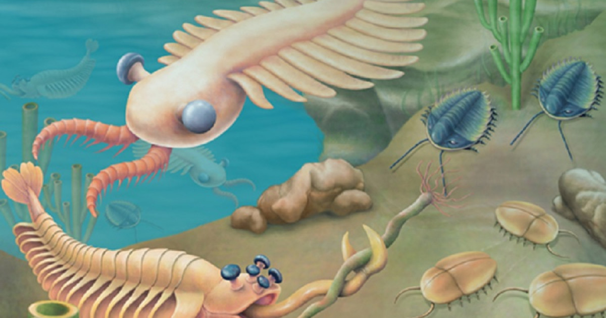 Cambrian Explosion: Life's Big Bang Explained - Wellnessbeam